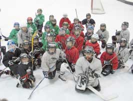 Bozeman Youth Hockey wins state - The BoZone