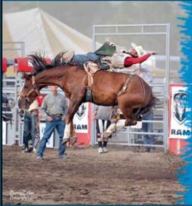 Round up your friends for Rodeo season - The BoZone