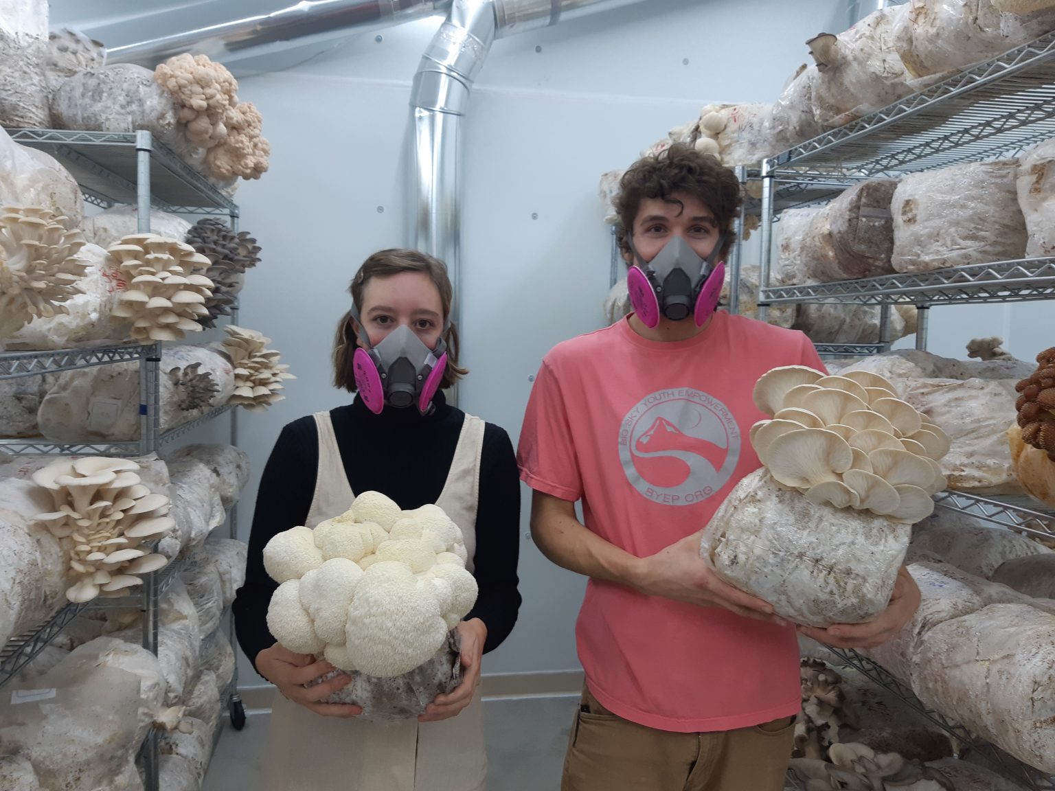 MSU student entrepreneurs secure business funding at annual startup ...