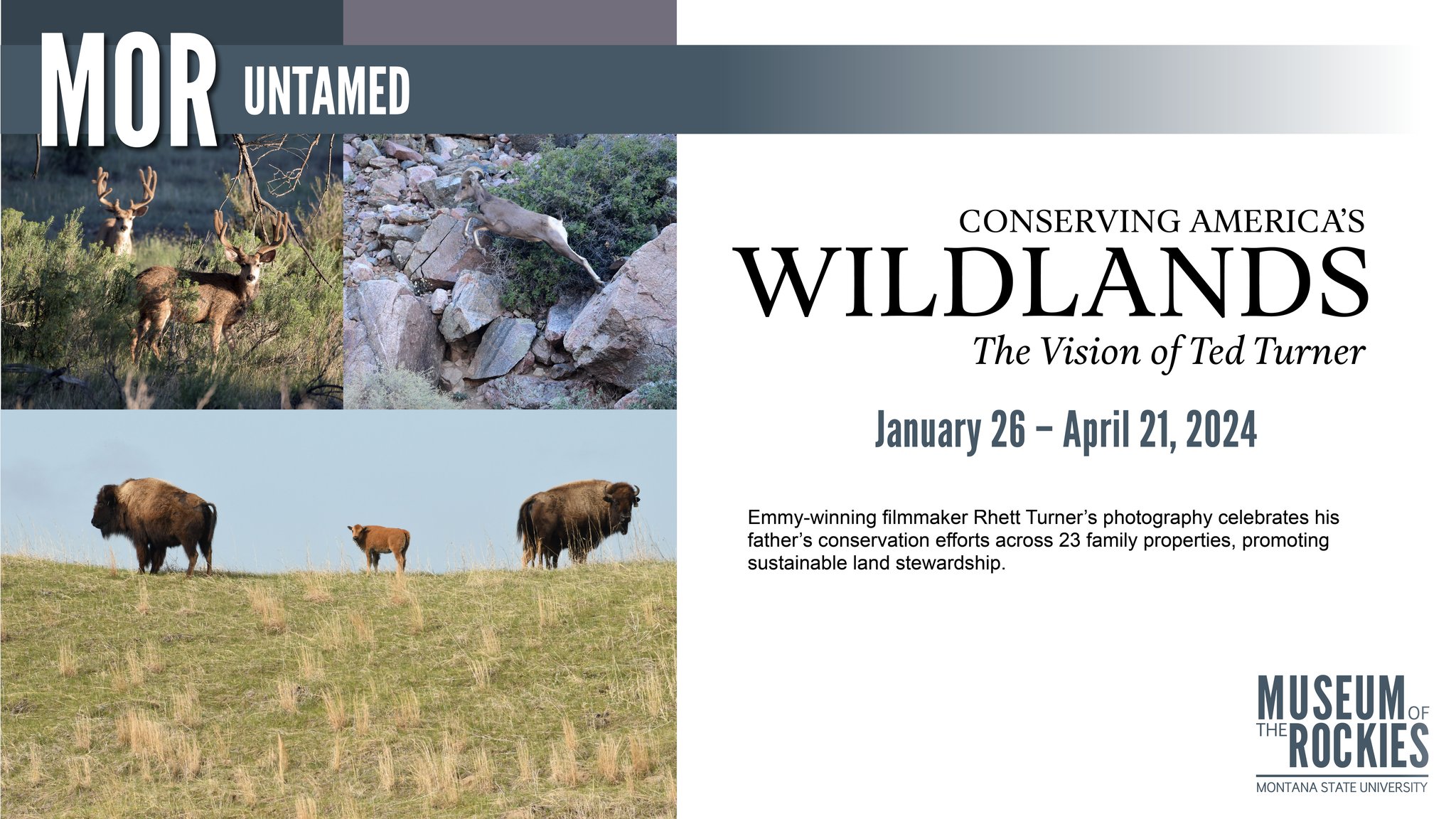 MOR opens photo display featuring showcase of Turner conservation ...