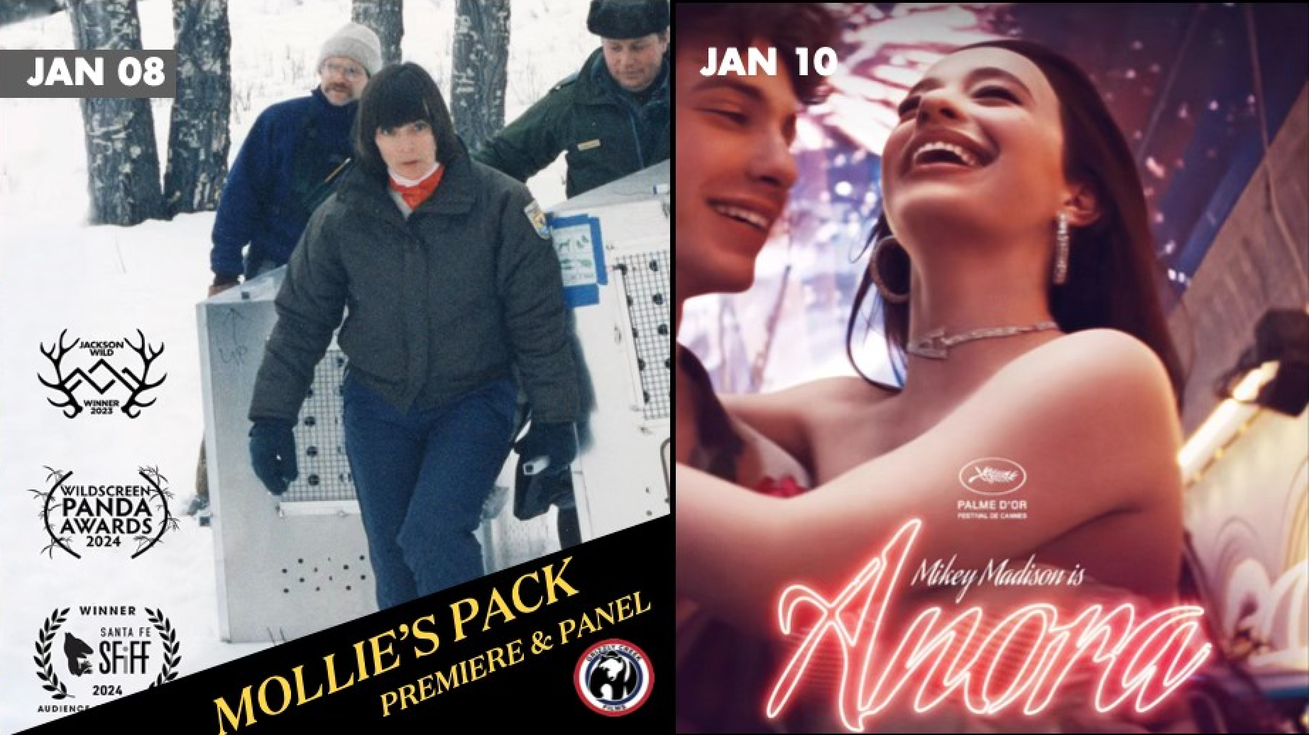 BFS profiles Yellowstone wolves, Palme d'Or winner - The BoZone