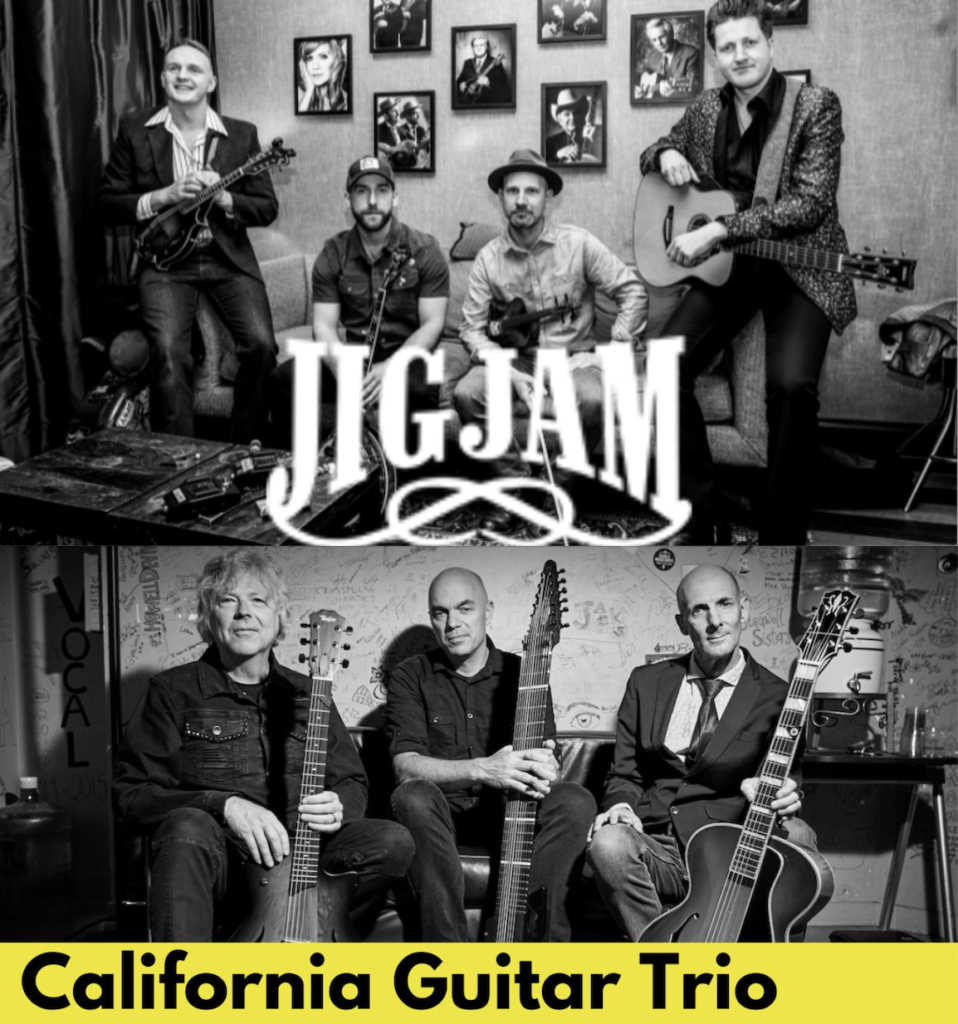 Ellen stage sees nights of Irish bluegrass, modern guitar - The BoZone