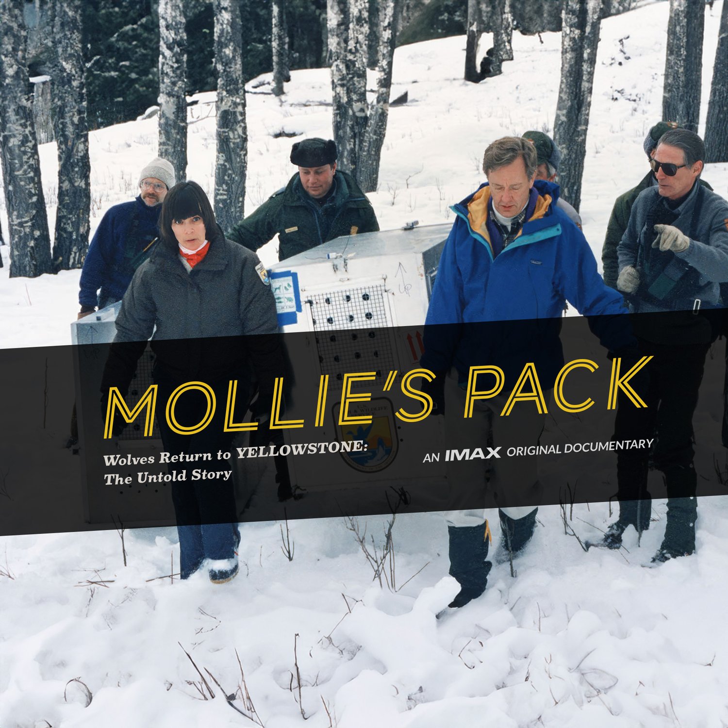 LFS profiles Yellowstone wolf reintroduction with Q&A - The BoZone