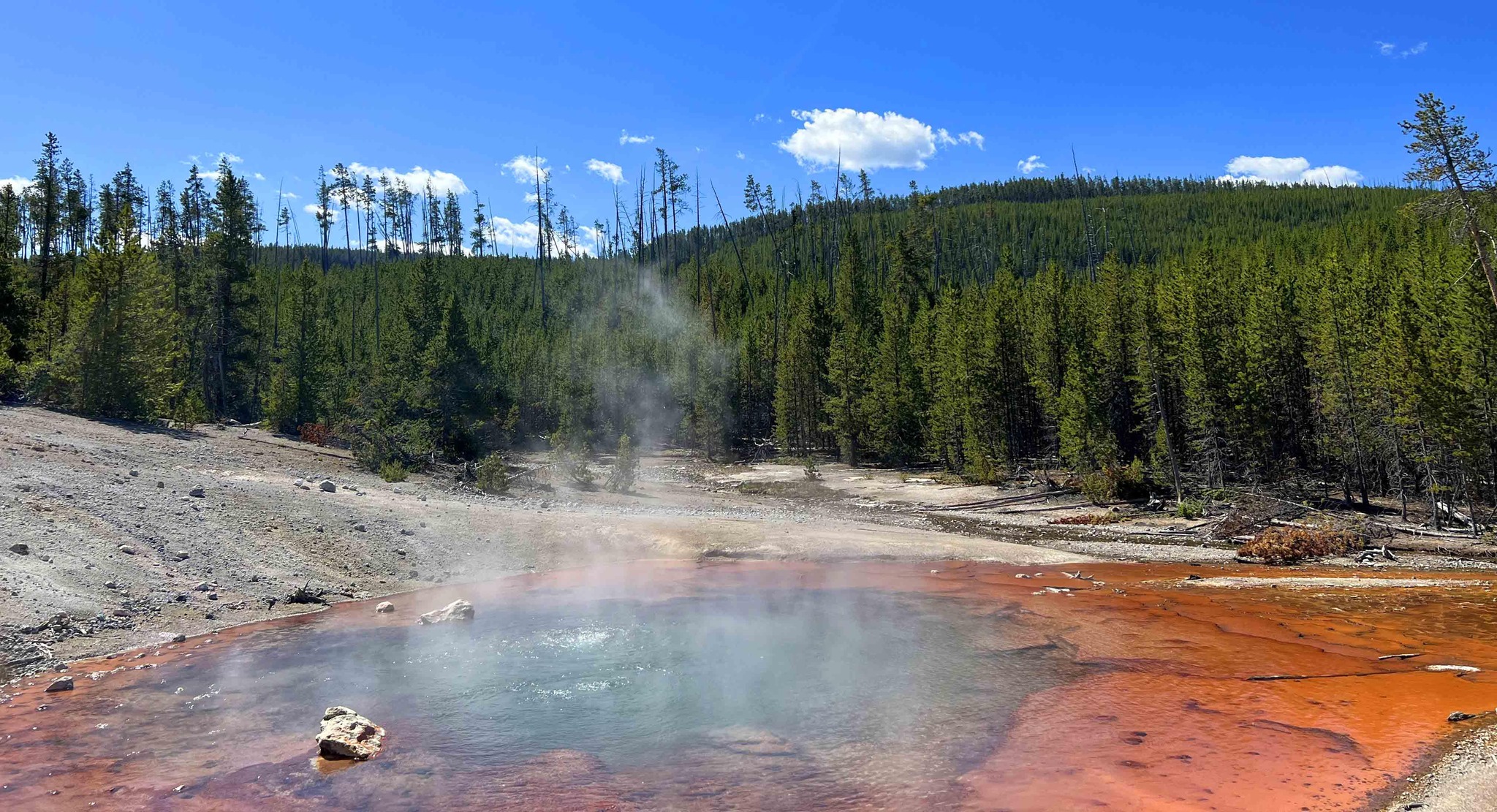Science lecture explores Yellowstone thermophiles - The BoZone
