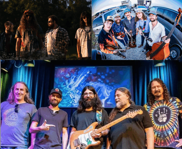Progressive bluegrass, psych-folk open Pine Creek slate - The BoZone