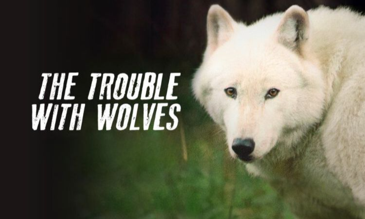 Doc screening explores wolf-human relationship - The BoZone