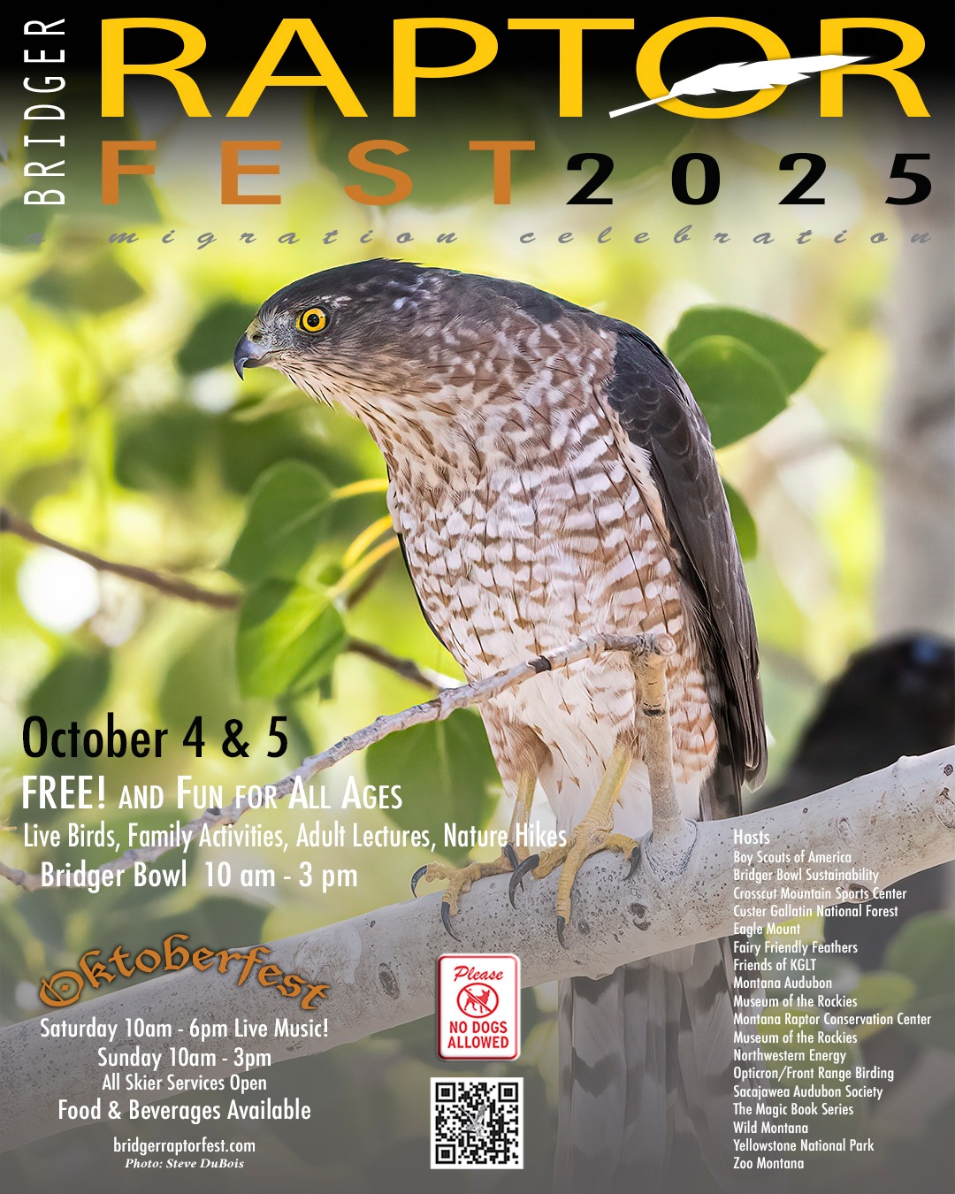 Celebrate annual golden eagle migration with BBowl - The BoZone